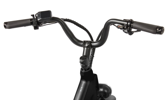 Flyer Via Pro Cargo eBike | Radio Flyer