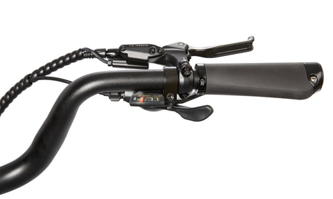 Flyer Via Pro Cargo eBike | Radio Flyer