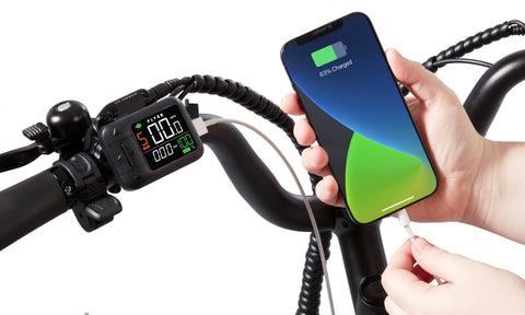 Flyer Via Pro Cargo eBike | Radio Flyer