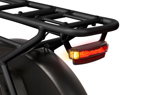 Flyer Via Pro Cargo eBike | Radio Flyer