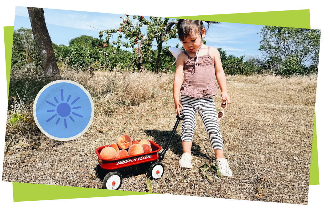 Toy Wagons for Kids: Mini & Small Wagon Favorites | Radio Flyer