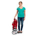 3-in-1 EZ Fold Wagon with Canopy and Seats | Radio Flyer