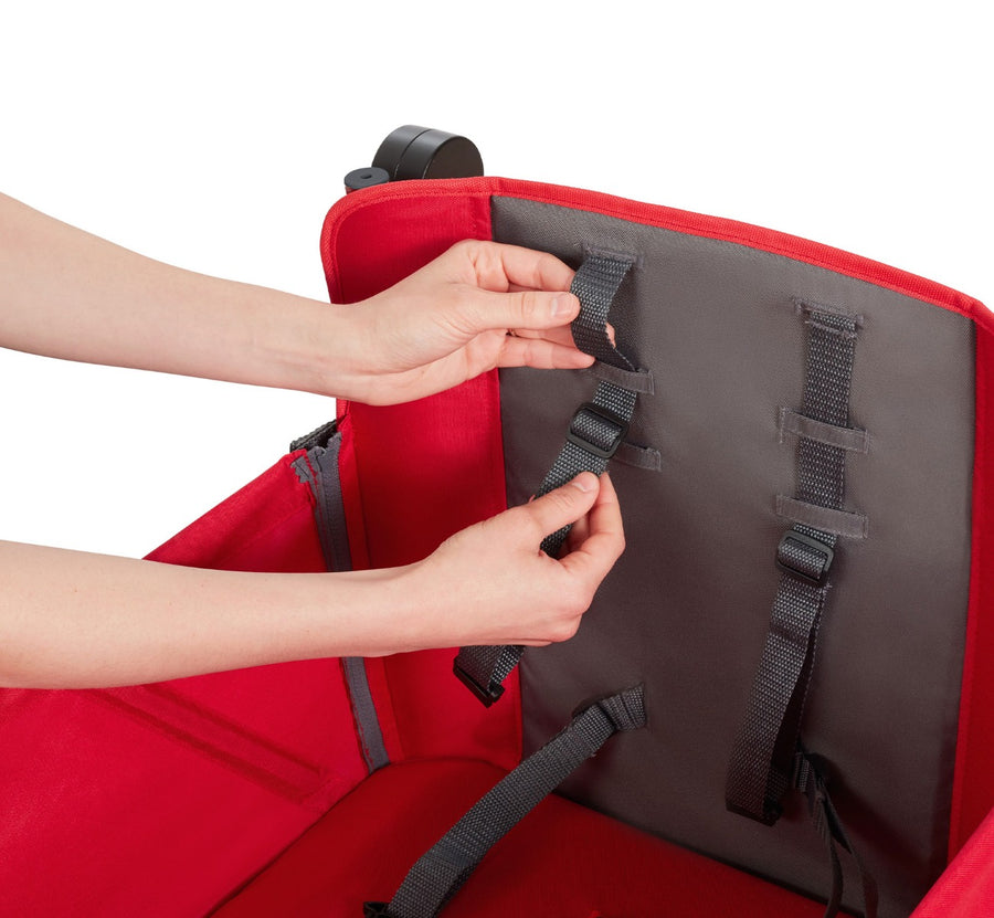 Convertible Stroll 'N Wagon | Radio Flyer